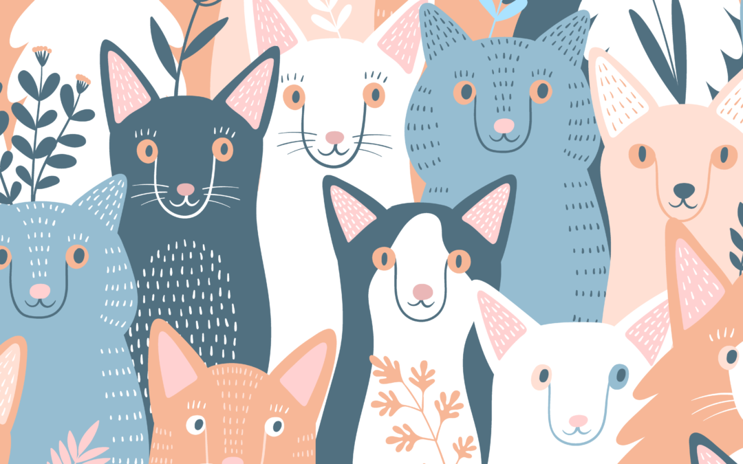 Adobe Creative Cloud デザインを始めたい方向けの記事まとめ | TAMASDESIGN